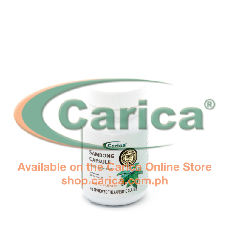 Sambong Capsules (Blumea balsamifera) – 30 Capsules – Carica Herbal ... Sambong Capsules (Blumea balsamifera) – 30 Capsules – Carica Herbal ...