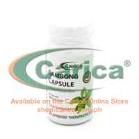 Sambong Capsules (Blumea balsamifera) – 90 Capsules – Carica Herbal ...