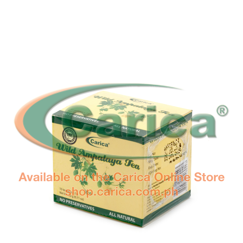 Wild Ampalaya Tea (Bitter Gourd / Bitter Melon – Momordica charantia ...